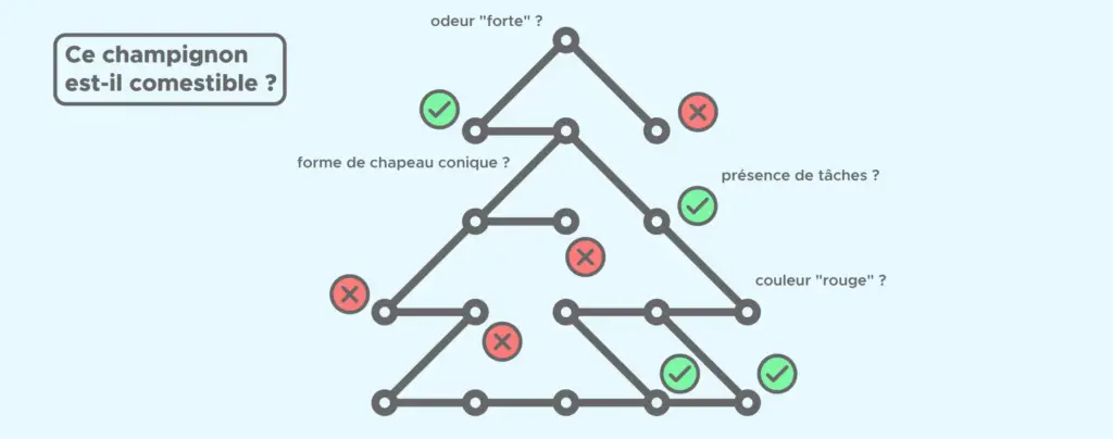 ¿cómo Funciona El Algoritmo Random Forest Haras Dadinco