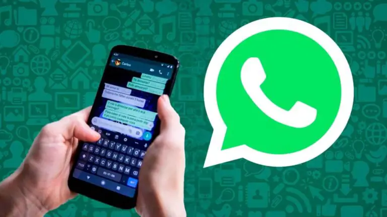 ¿Cuál es el límite de contactos en WhatsApp? - Haras Dadinco ¿Cuál es el límite de contactos en WhatsApp? - Haras Dadinco